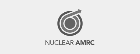 Nuclear Virtual Engineering Capability - NVEC